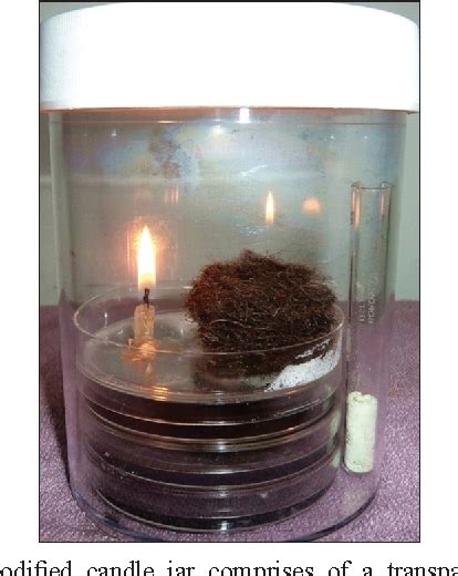 Anaerobic Culture On Growth Efficient Bi Layered Culture Plate In A
