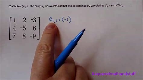 minors and cofactors of a matrix youtube