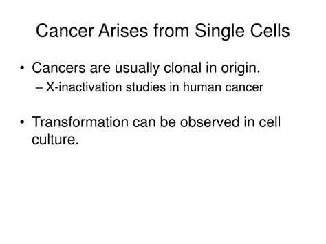 PPT Cancer Biology 241 Molecular Cellular And Genetic Basis Of