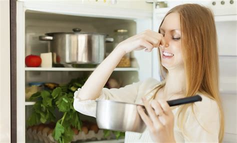 Combatiendo Los Malos Olores De La Cocina Cocina