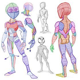 Learning Drawing Principles Human Anatomy Drawing Anatomy Models