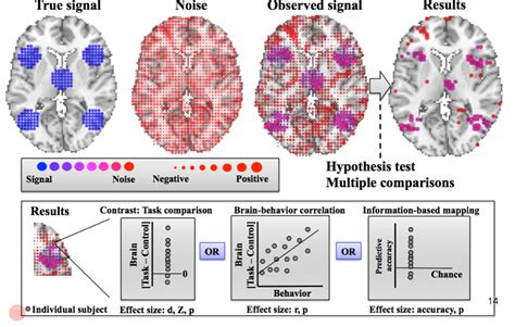【fmri note】module 2 analysis of fmri data 知乎