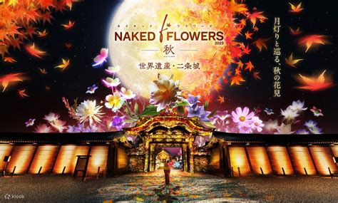 Naked Autumn Festival World Heritage Nijo Jo Castle Admission In