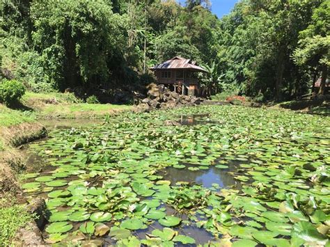 Toar Lumimuut Park Manado Aktuelle 2021 Lohnt Es Sich Mit Fotos