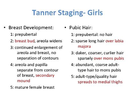 Puberty Tanner Staging Price Ward M D A