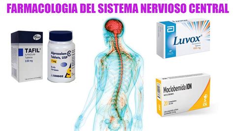Fármacos utilizados en el Sistema Nervioso Central YouTube