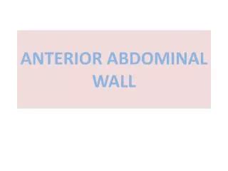 PPT Anatomy Of Anterior Abdominal Wall PowerPoint Presentation Free