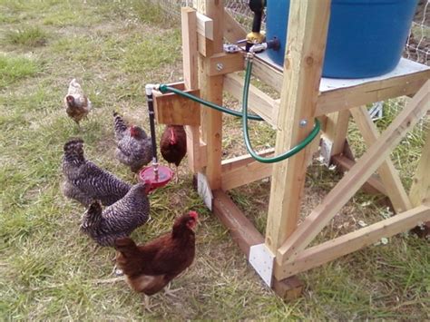 27 DIY Chicken Feeder And Waterer Plans And Ideas The Poultry Guide