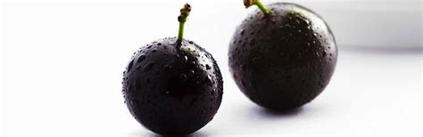 Propriedades E Benef Cios Da Jabuticaba Para A Sa De