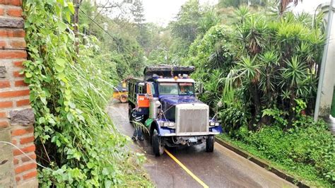 FOVIAL on Twitter Paso cerrado Trabajamos para retirar un árbol