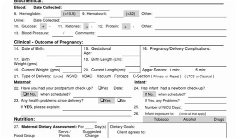Printable Head To Toe Assessment Template