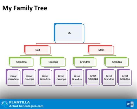 16 Árbol genealógico Word con SmartArt