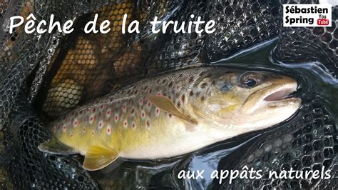 Pêche de la truite aux appâts naturels YouTube