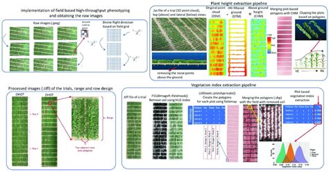 shows the steps of high throughput phenotyping pipeline including data download scientific