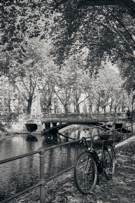 Bokeh Kö Düsseldorf 2018 Summer 7 Amselchen Flickr