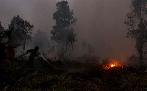 55 Persen Wilayah Indonesia Masuk Musim Kemarau BMKG Waspada Karhutla