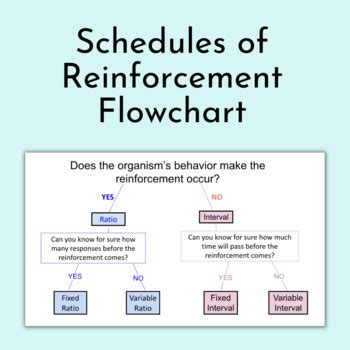 Schedules Of Reinforcement Pdf