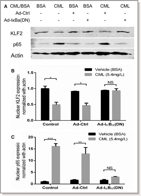Figure From Uremic Advanced Glycation End Products And Proteinbound