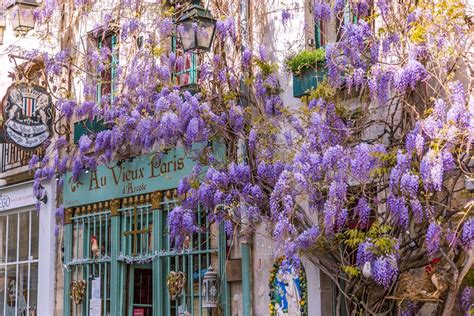 20 Cute Cafes In Paris The Spots You Shouldn T Miss Paris Cafe