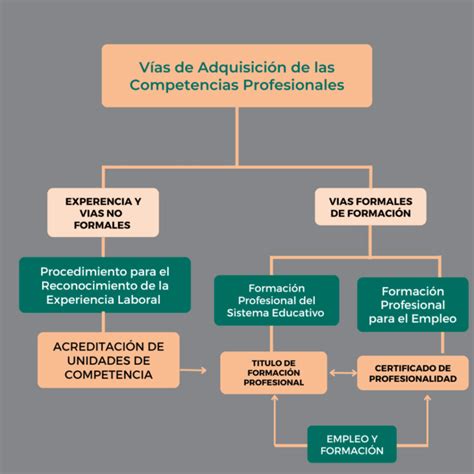 Descubre Los Requisitos Para Acceder A La Formaci N Profesional B Sica
