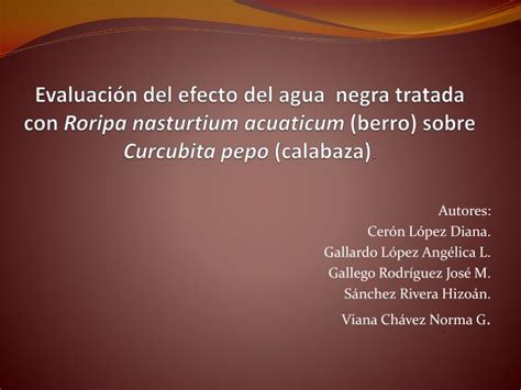 PPT Autores Cerón López Diana Gallardo López Angélica L Gallego