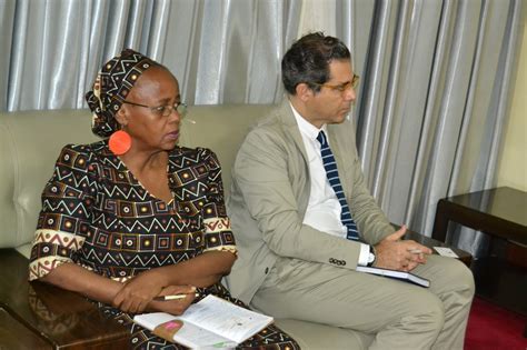 Mfa Tanzania Naibu Waziri Wa Mambo Ya Nje Akutana Na Mkurugenzi Wa