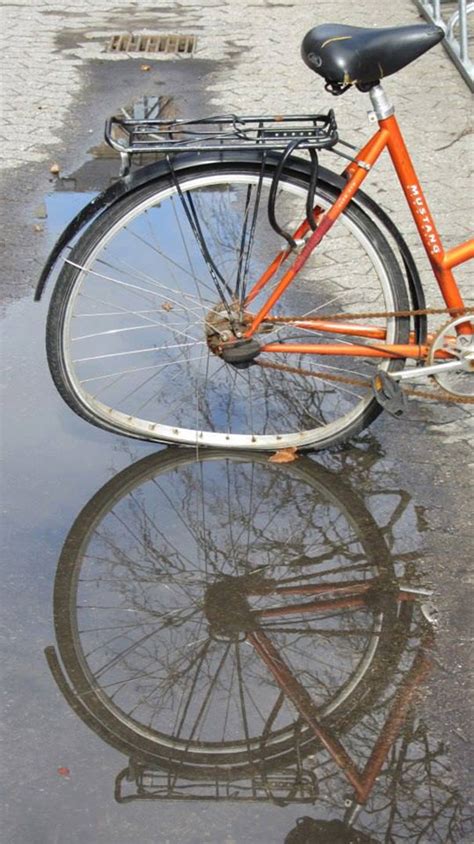 Optical Illusions That Will Hurt Your Brain And Make You Laugh Wow