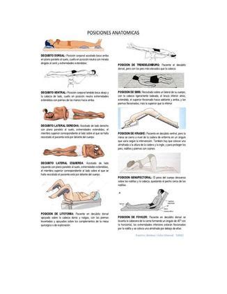 Pocos Seis Pist N Posiciones Anatomicas Del Ser Humano Visa Contento