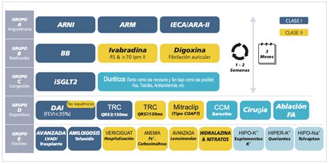 Guía rápida de bolsillo sobre el tratamiento de la insuficiencia