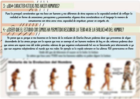 SOLUTION Evolucion Del Ser Humano Studypool