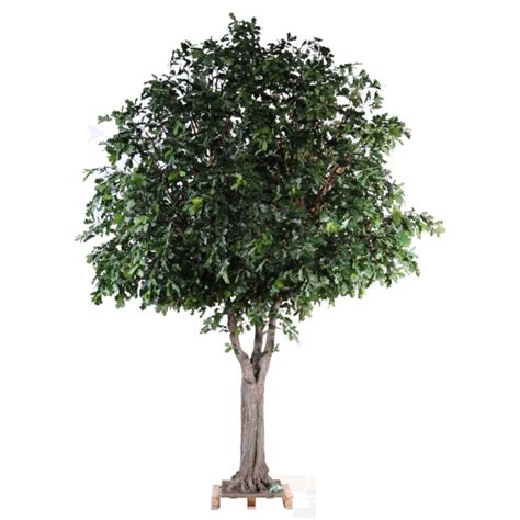 Descubra 48 Kuva Arbre Artificiel Grande Taille Pas Cher Thptnganamst