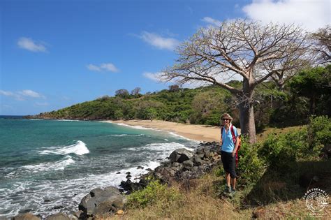 Mayotte 5 raisons de découvrir la mystérieuse Île au Lagon Globe