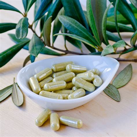 How Olive Leaf Extract Can Help Your Immune Health Ameriden