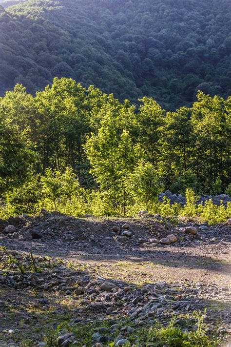 Turkish Natural Landscape Of Marmara Region Turkey Stock Image