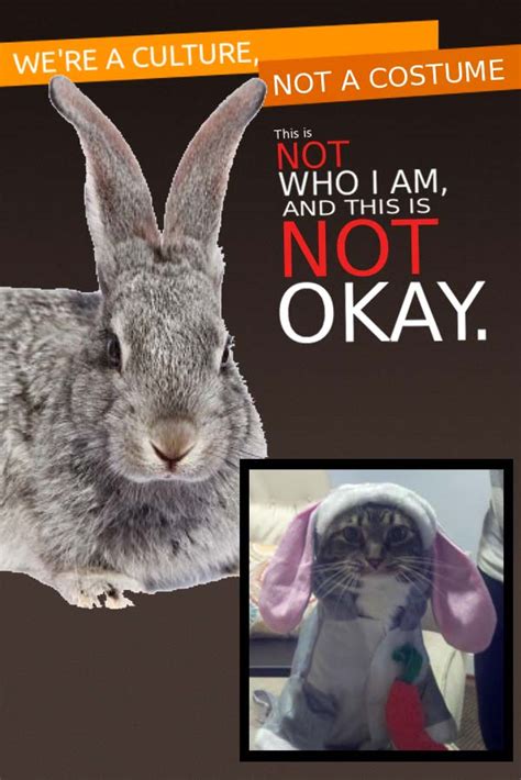 Image 193782 We Re A Culture Not A Costume Know Your Meme