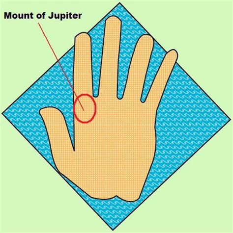 Significance And Meanings Of Mounts In Palmistry HubPages
