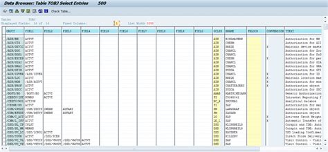 What Are Authorization Groups In SAP Table TOBJ SAP Tutorial
