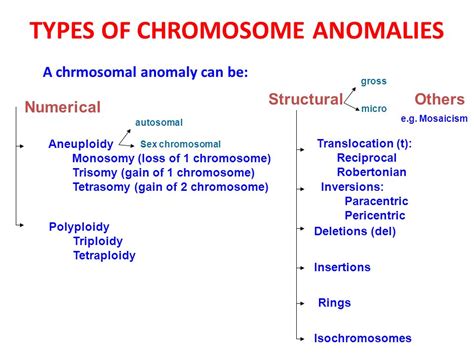 Medical Genetics LECTURE 2 CHROMOSOME ANOMALIES Reem Sallam MD PhD