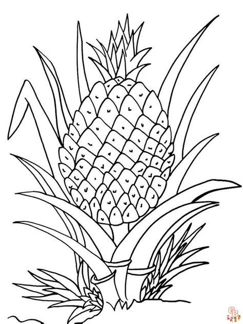 Coloriage Ananas des dessins amusants à imprimer