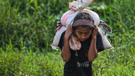 Más de tres millones de niños en México se vieron forzados a trabajar