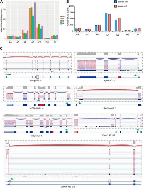 Frontiers Single Cell Transcriptomics Reveals Splicing Features Of