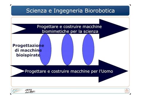 pdf scienza e ingegneria biorobotica unipi itdidawiki cli di unipi it lib exe fetch php pro