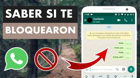 Qué significa cuando alguien te bloquea en WhatsApp Haras Dadinco