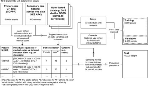 overview of the key data processing steps for the dl and ml pipeline download scientific
