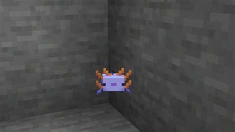 C Ch L Y Axolotl Trong Minecraft Kenhnews