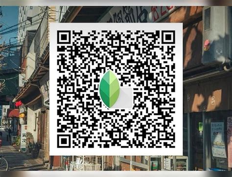 The Best Snapseed Qr Codes Presets Artofit