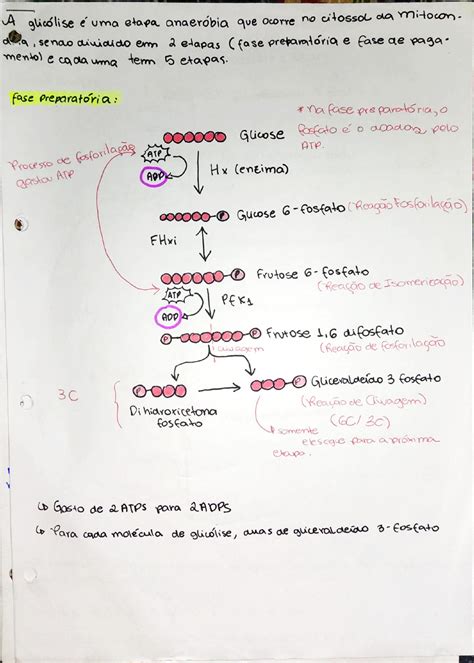bioquímica mapa mental explicado Bioquímica Básica