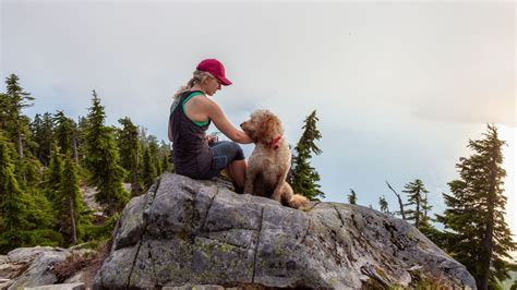 Tips For Choosing The Right Pet Sitter In Mile High Colorado