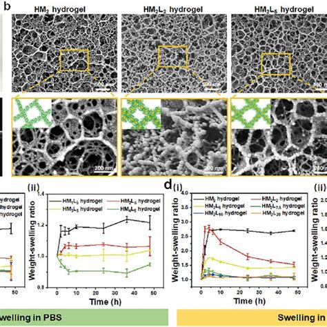 Microstructural Characteristics And Swelling Behaviors Of The HML