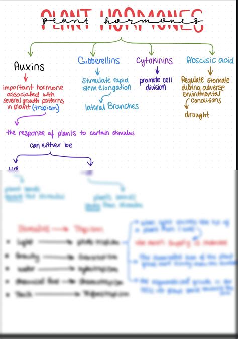 Solution Plant Hormones Studypool